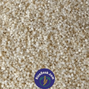 Udalu | Barnyard millet