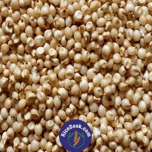 White Jowar | Jonnalu